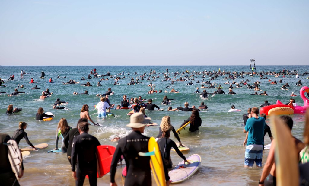 Fight for the Bight, National Day of Action. – HuG